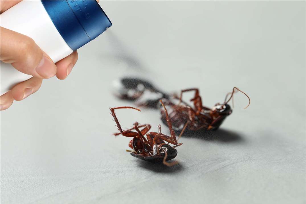 Household Insecticides - Daily Chemicals / BOC Sciences