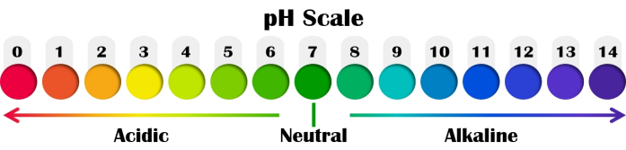 pH Detection of Cosmetics - Daily Chemicals / BOC Sciences